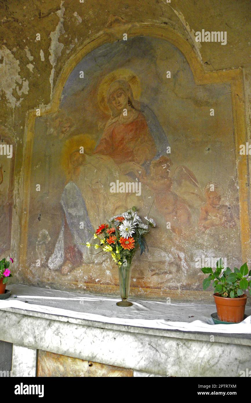 Zelo buon persico Banque de photographies et d’images à haute ...