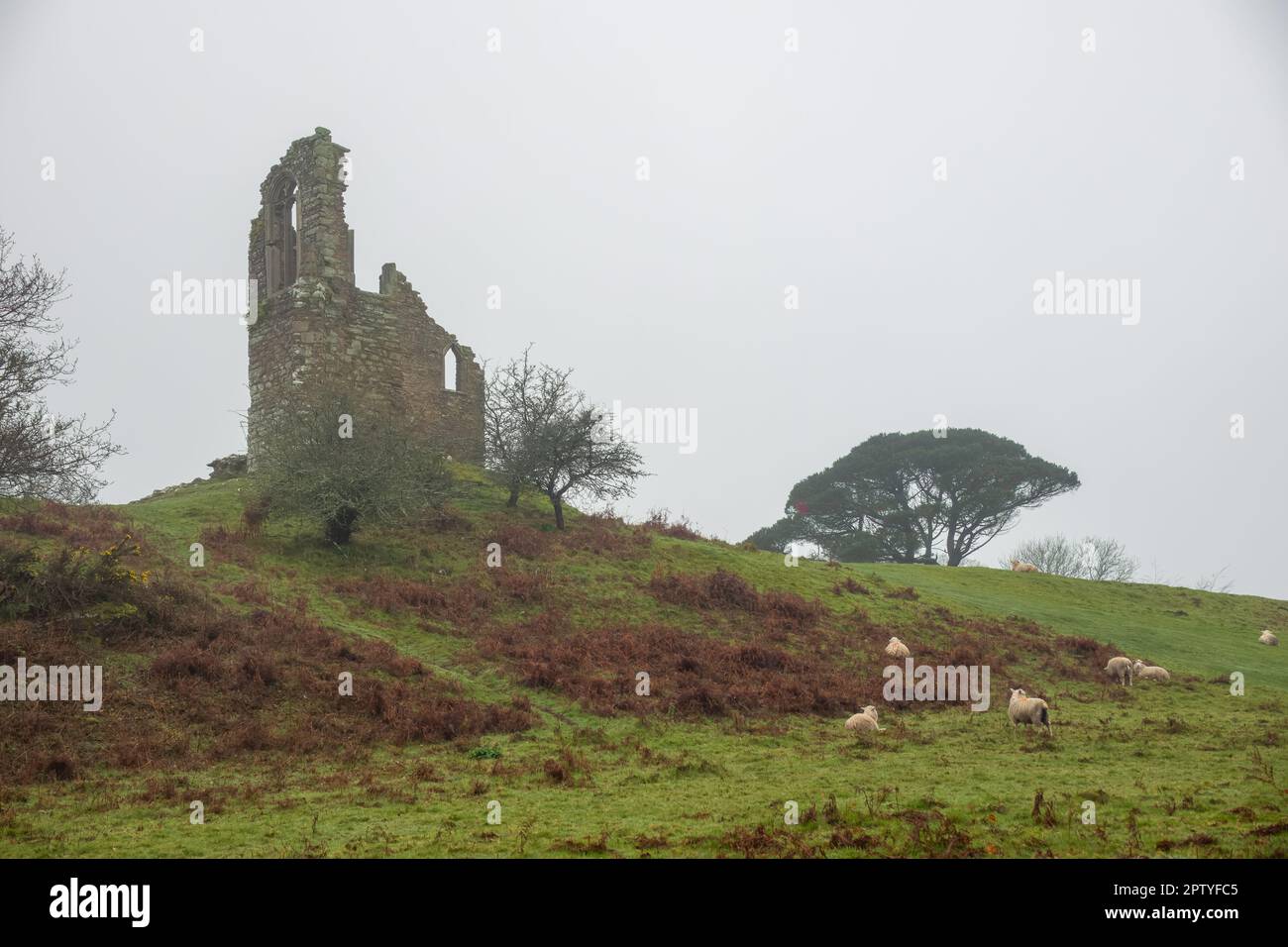 Parc national du Mont-Edgcumbe Folly une ruine artificielle construite ...