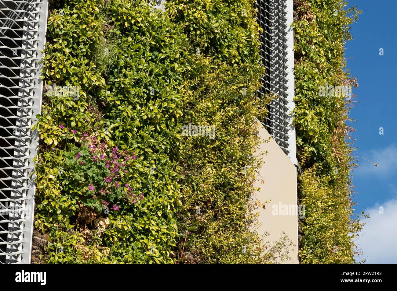 Un détail extérieur d'un nouveau parking à plusieurs étages avec un mur ...