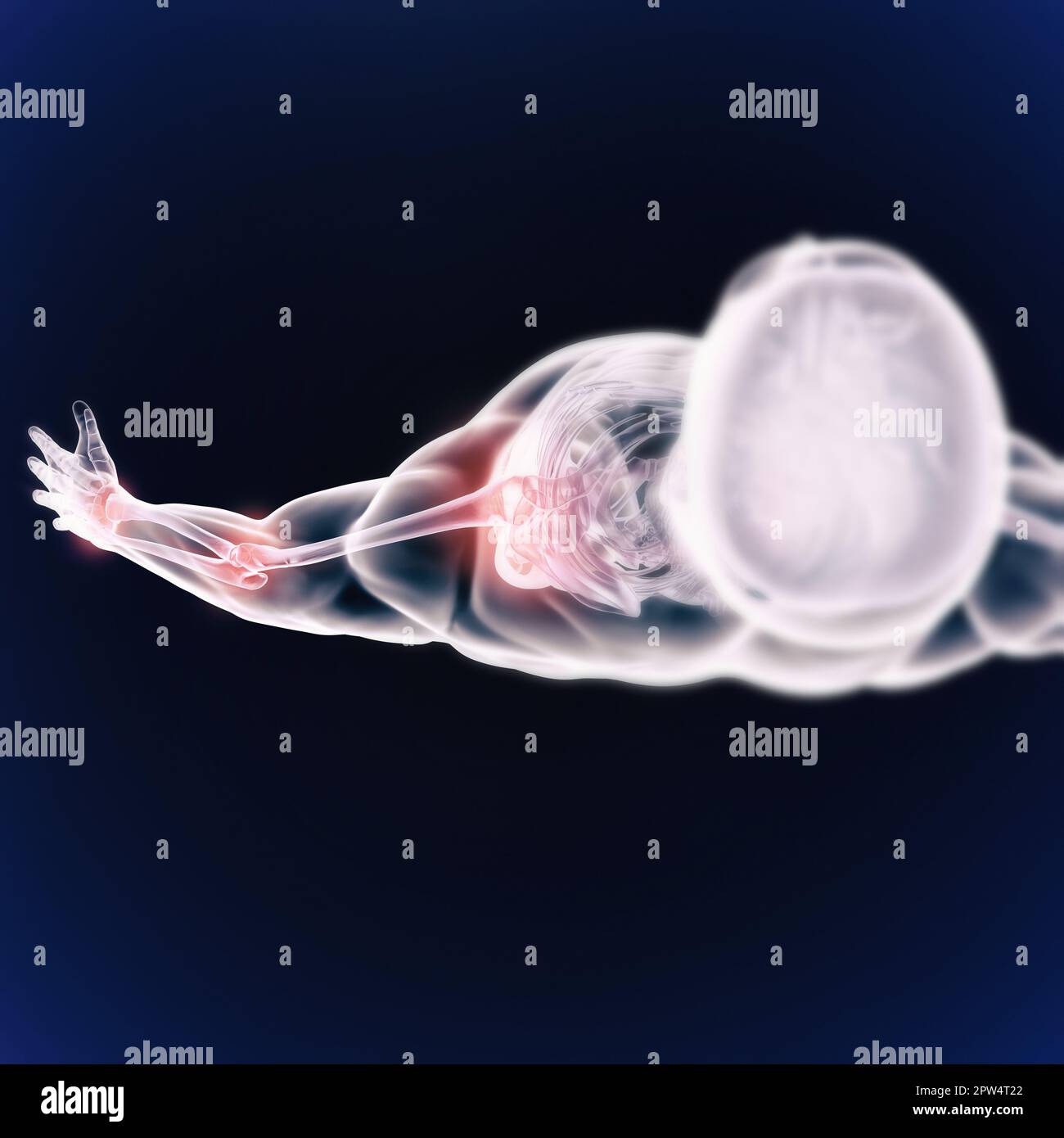 La forme humaine. Vue en grand angle d'une représentation cgi de la ...