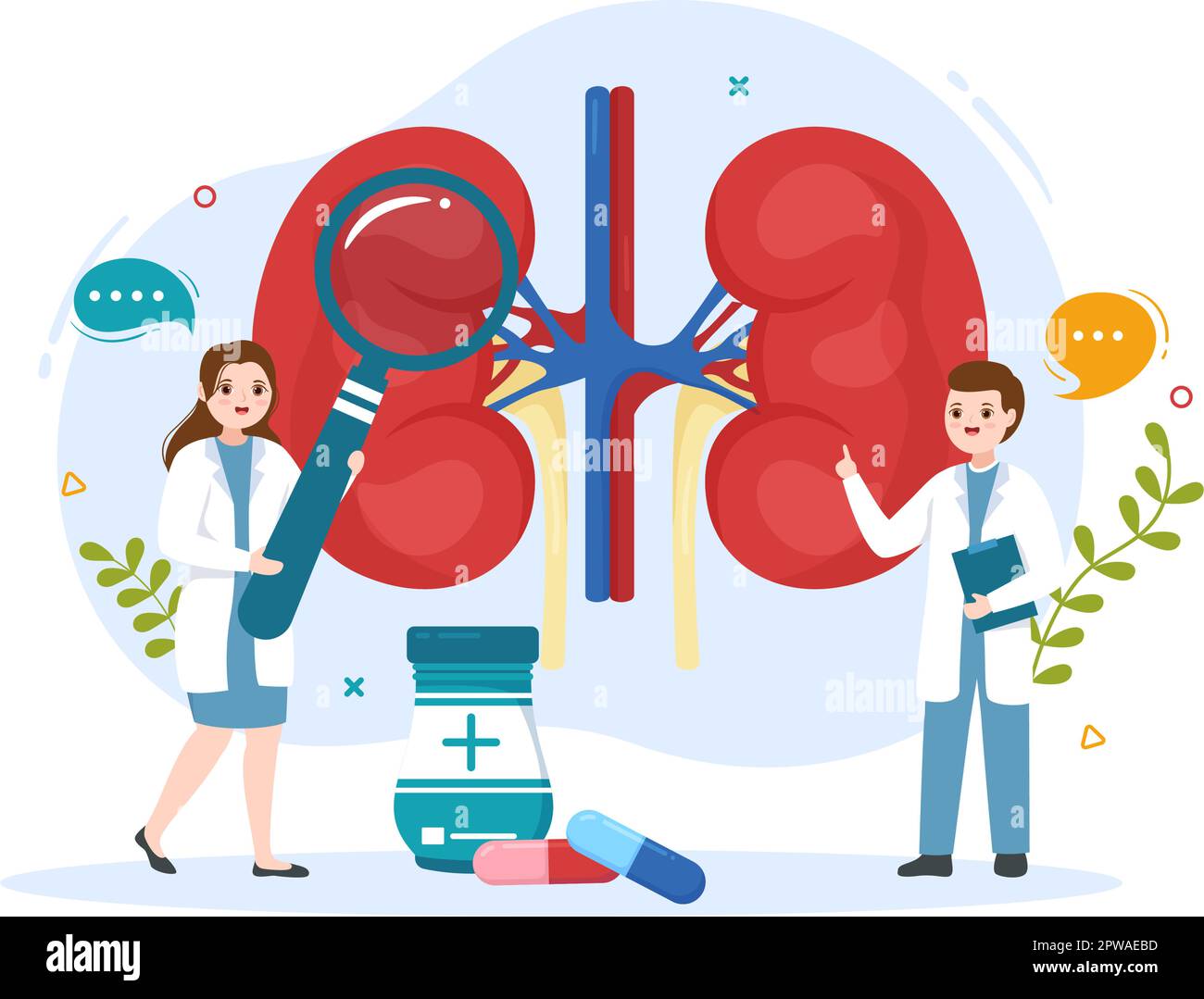 Nephrologue Illustration avec cardiologue, Proctologue et traiter les ...