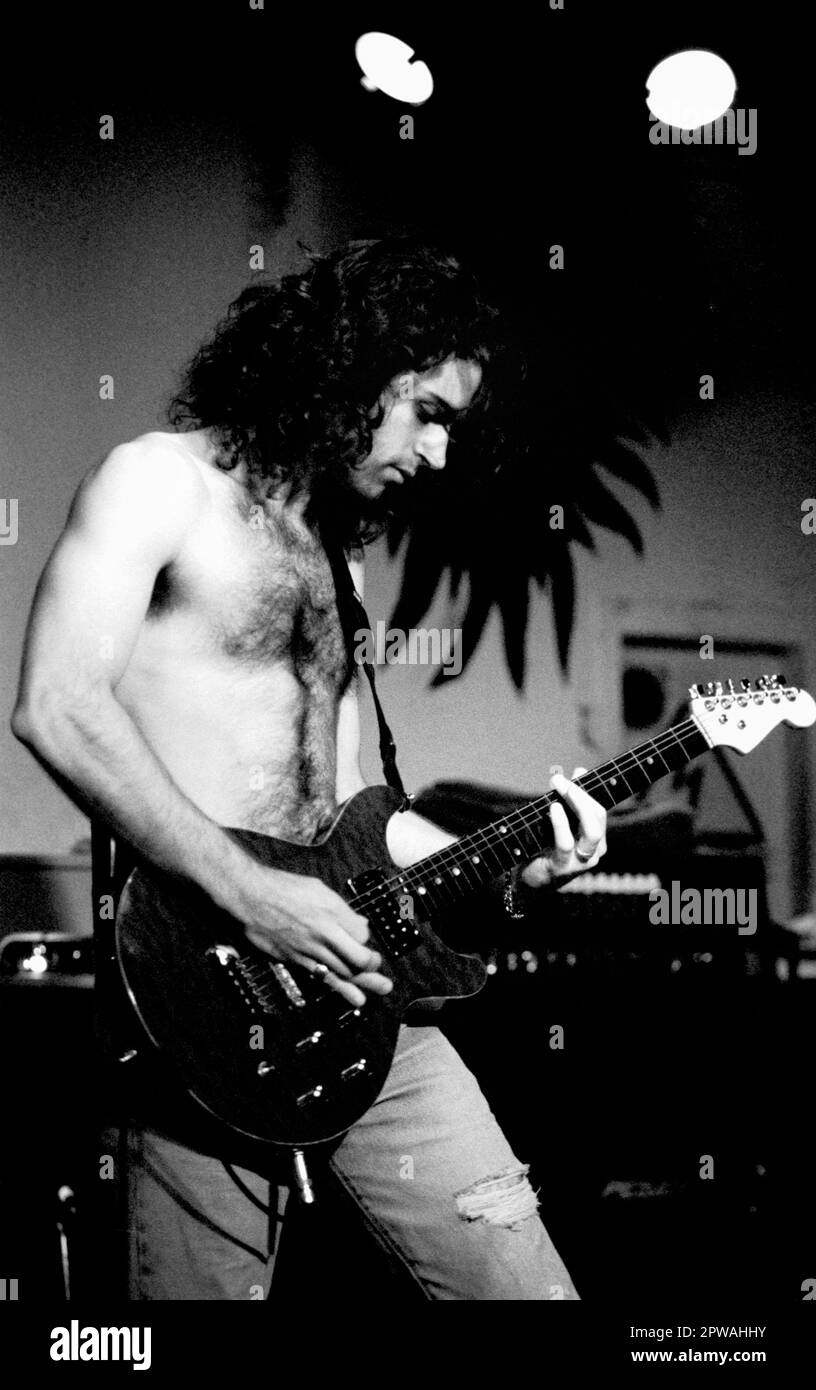 Frank zappa in concert Banque d'images noir et blanc - Alamy