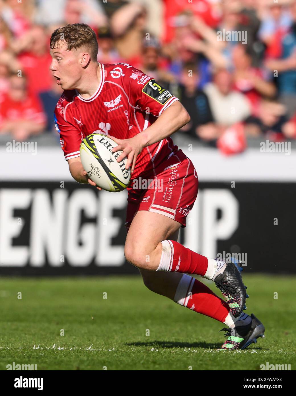 Sam Costelow of Scarlets fait une pause lors du match semi-final de la ...