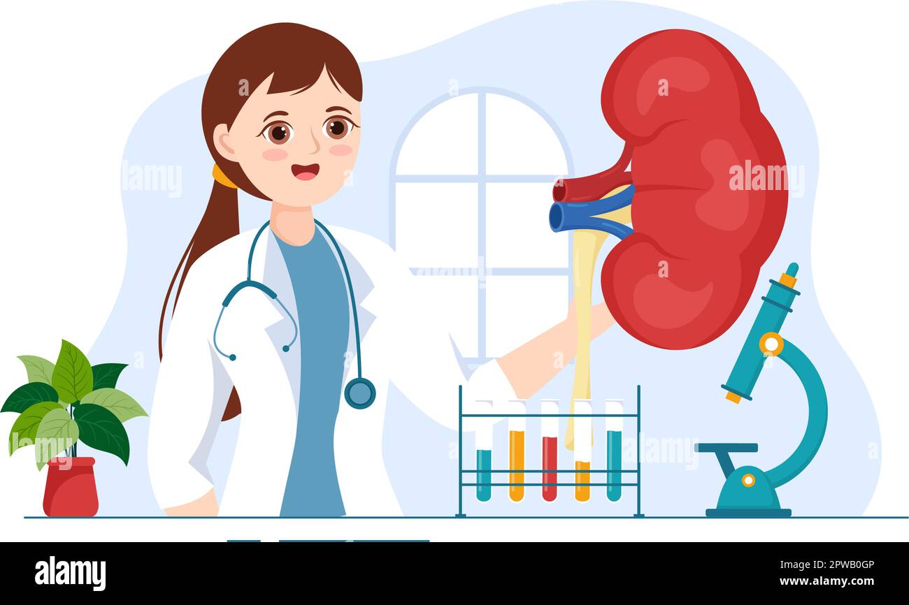 Nephrologue Illustration avec cardiologue, Proctologue et traiter les ...