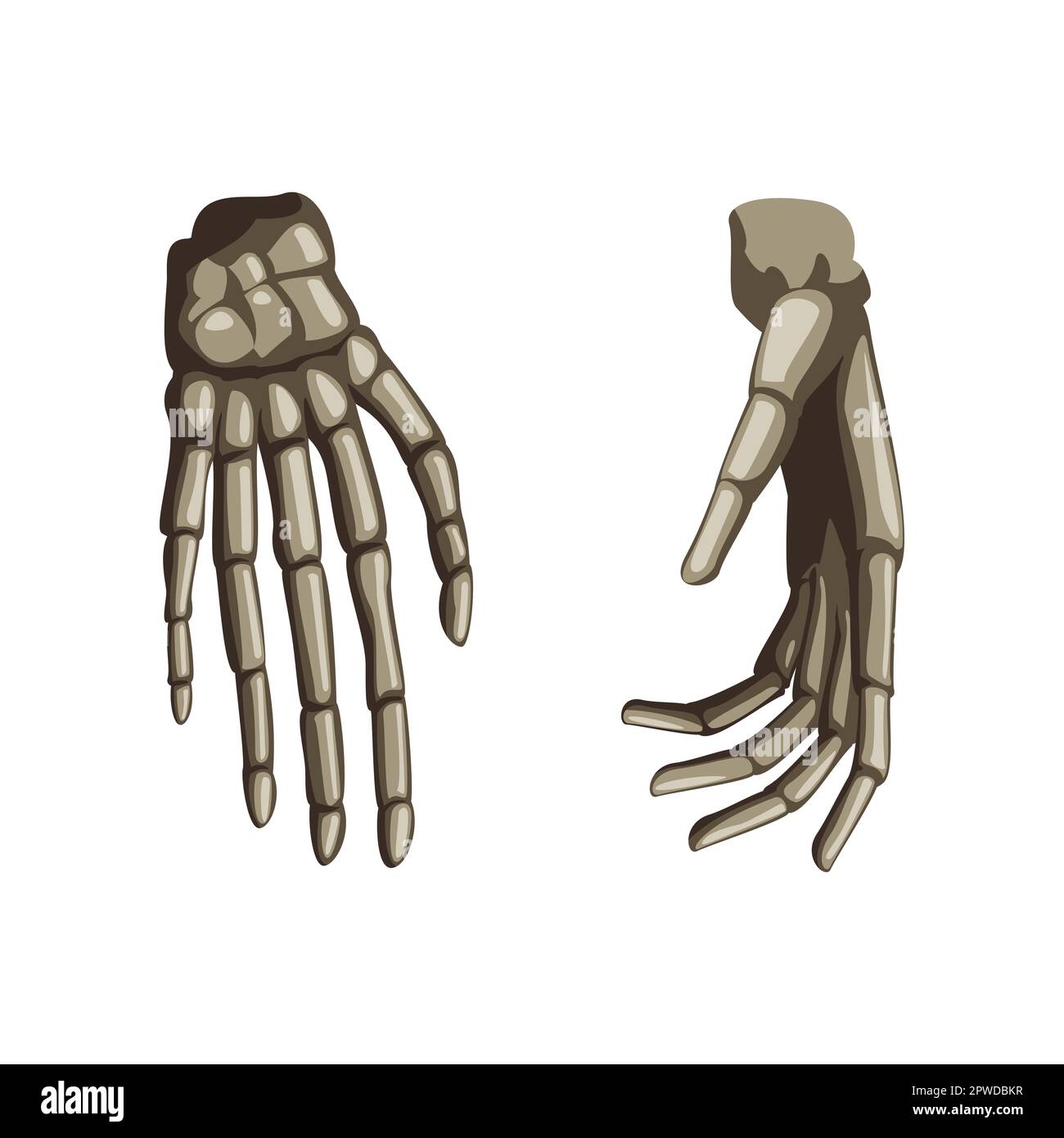 Dessins De Mains De Squelette
