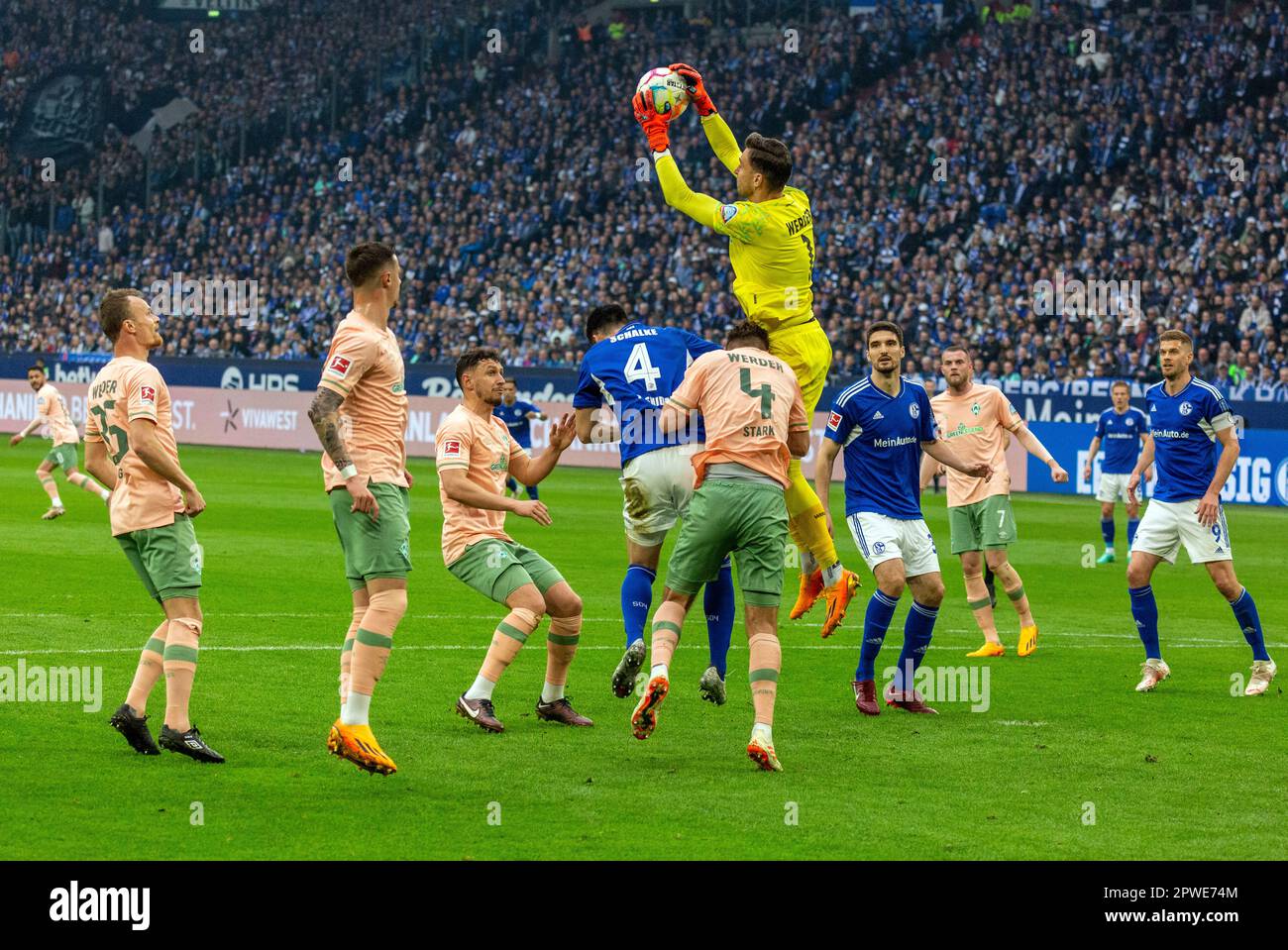 Maya stark Banque de photographies et d’images à haute résolution - Alamy