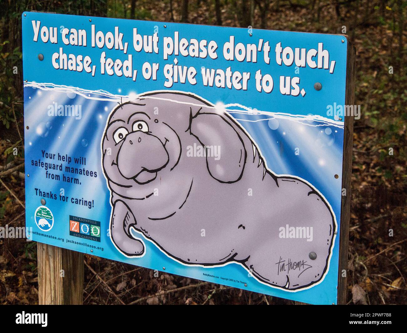 Panneau avec des œuvres d'art d'un lamantin indiquant comment protéger ...