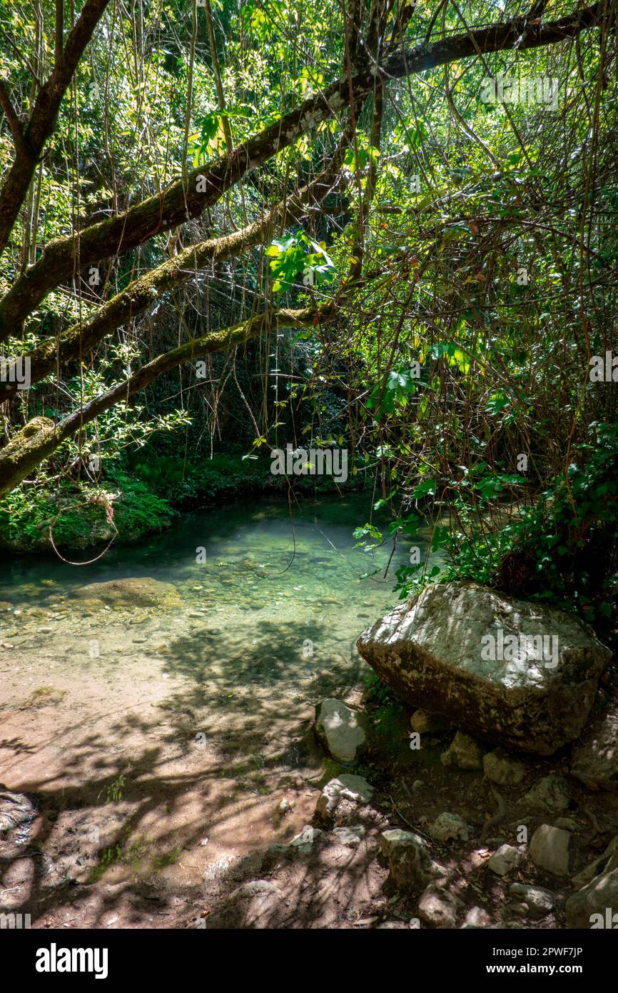 Rive de la rivière Majaceite, dans la Sierra de Cadix, sur son ...