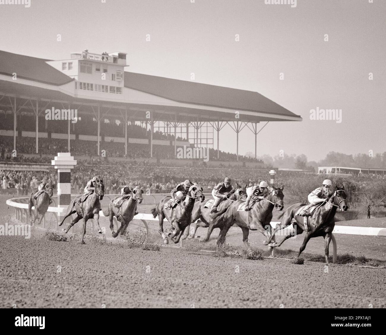 1950S CHEVAUX PUR-SANG SE FAISANT SUR PISTE DE TERRE AVEC LES TRIBUNES ...