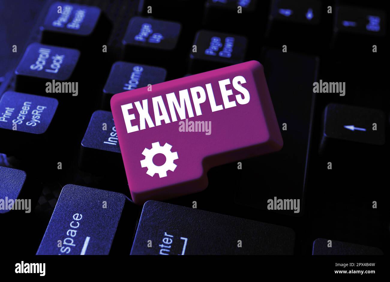 Affiche affichant des exemples, mot écrit sur photo modèle d ...