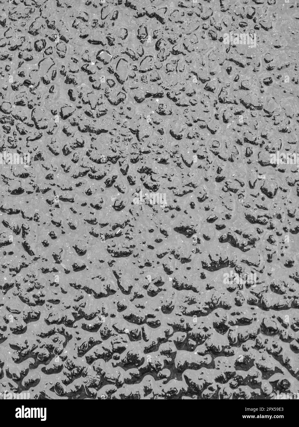 asphalte mouillé bitume brut après pluie texture de la route tarmac ...