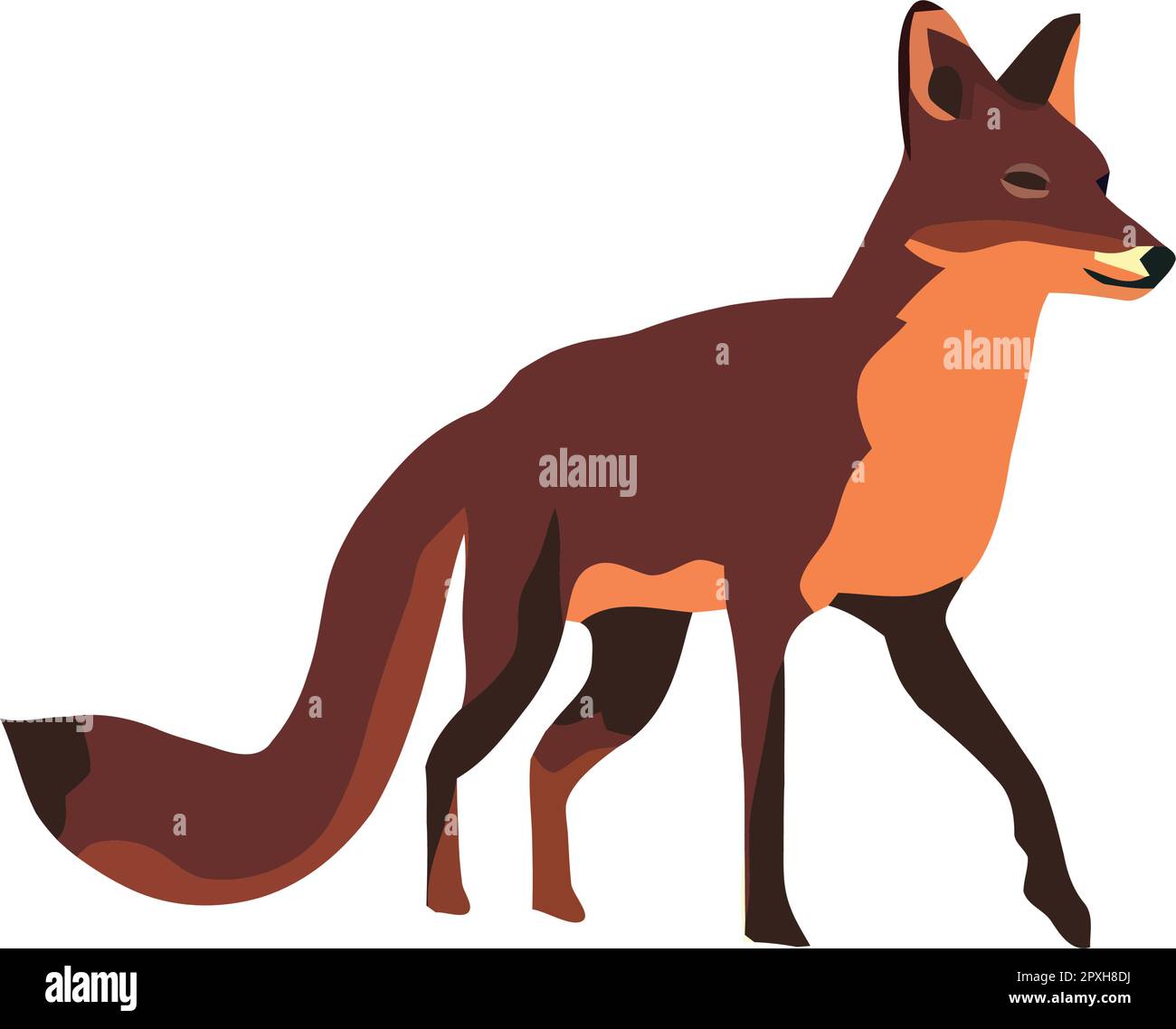 Queue de renard touffue Banque d'images détourées - Alamy