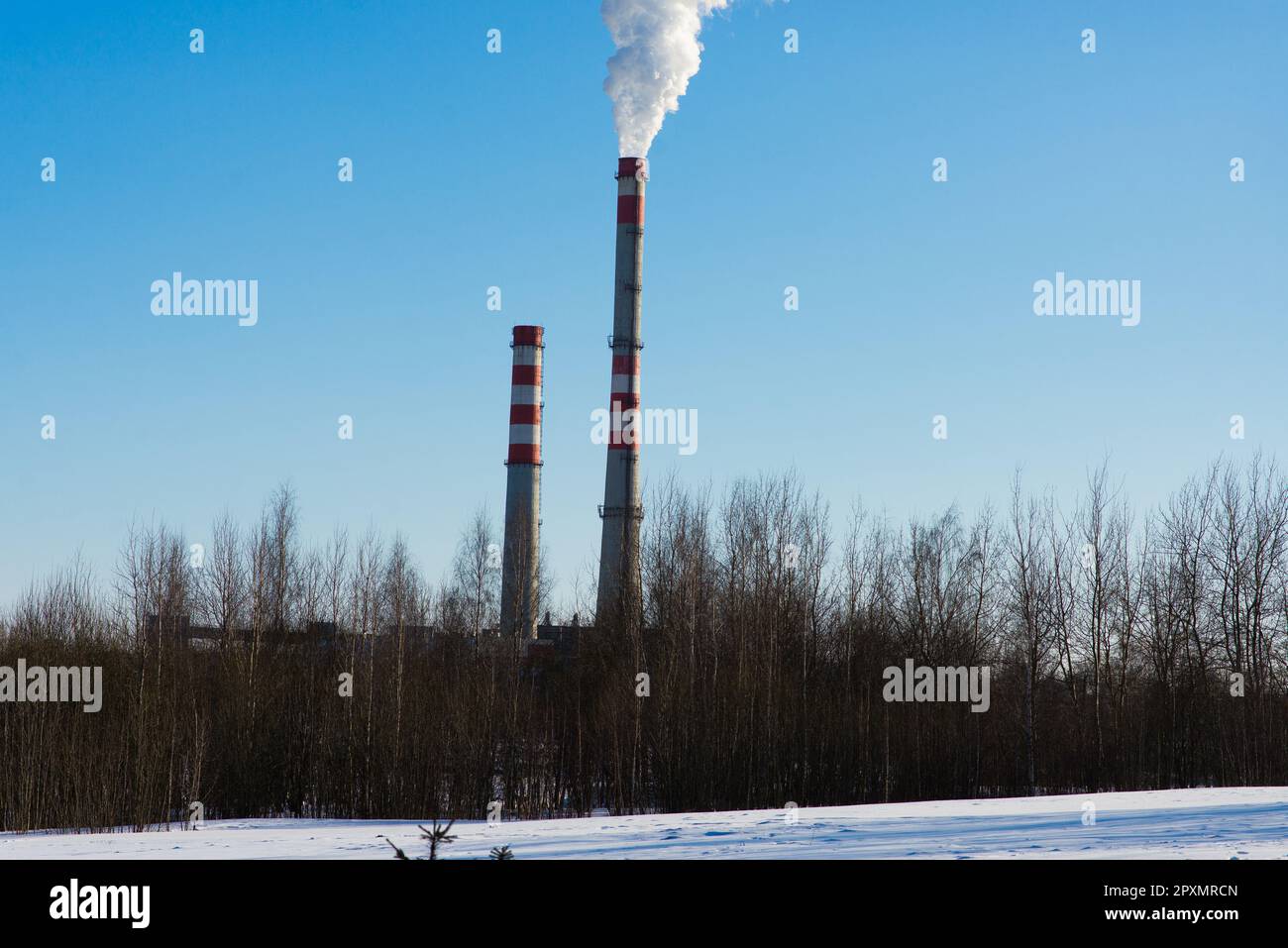 Structure d'usine élevée et grue à tour dans la zone de production ...