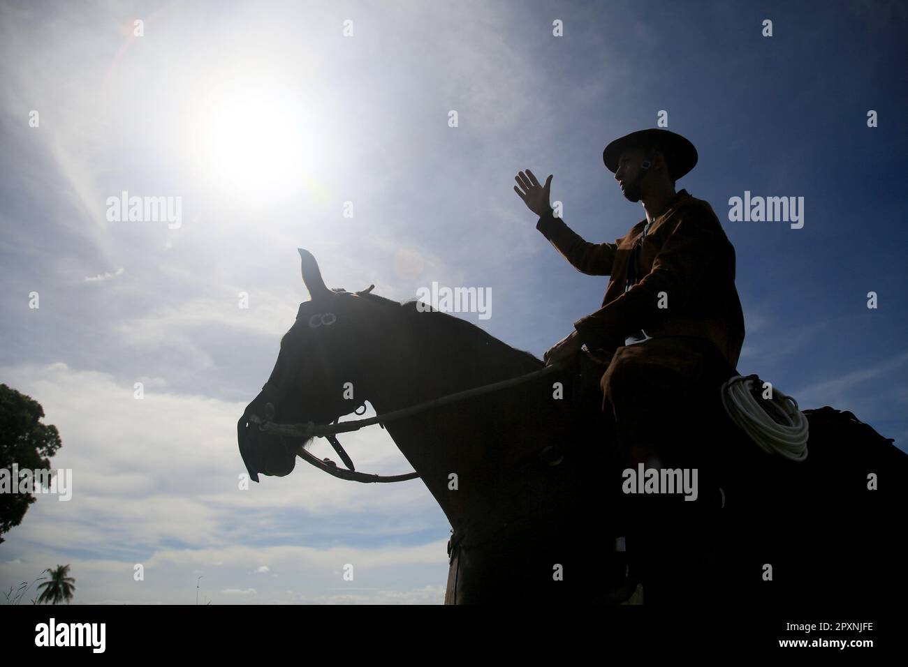 Brazilian cowboy Banque de photographies et d’images à haute résolution ...