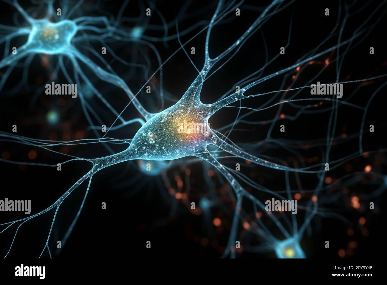 Anatomie de la synapse neuronale Banque de photographies et d’images à haute résolution - Alamy