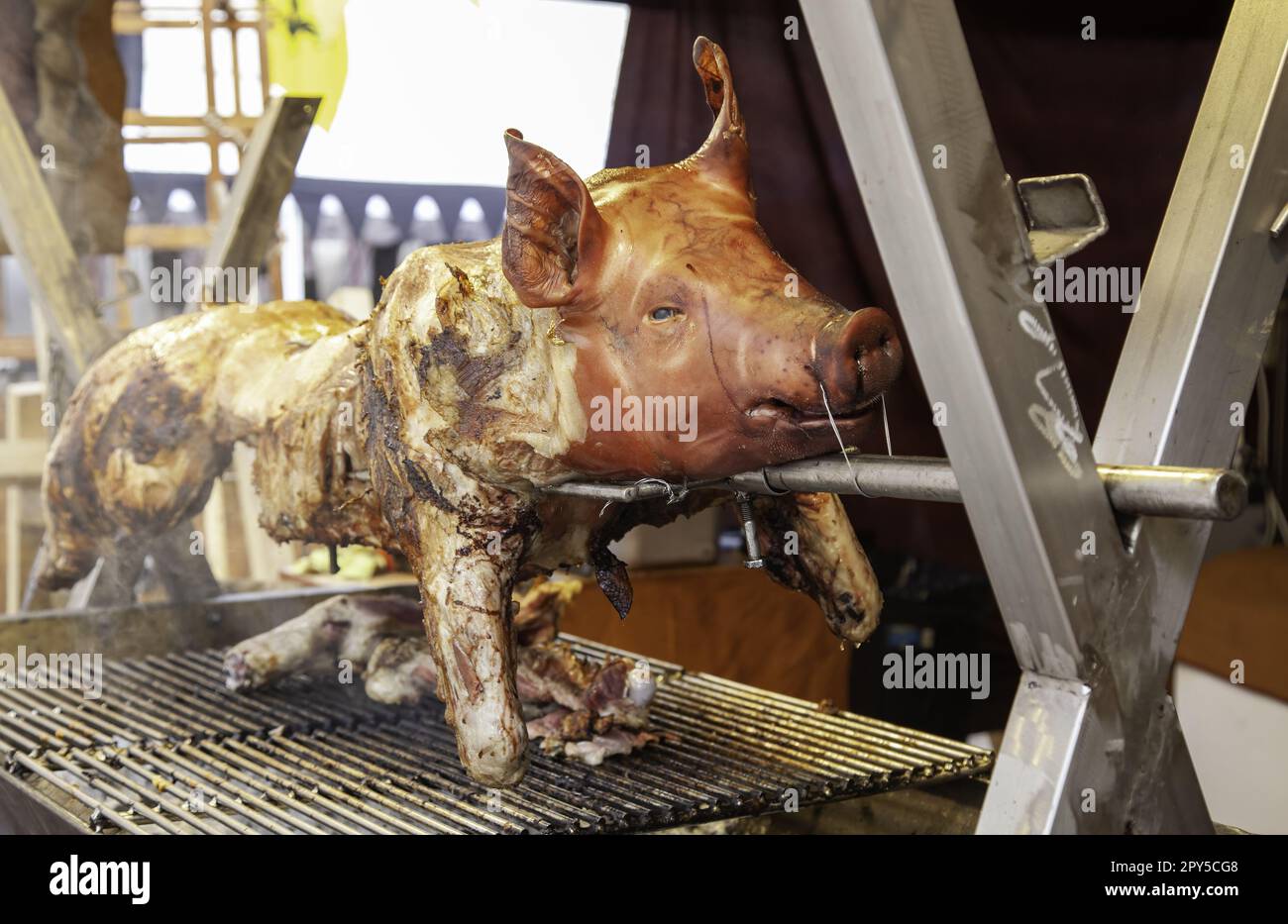 Cochon de lait Banque de photographies et d’images à haute résolution ...