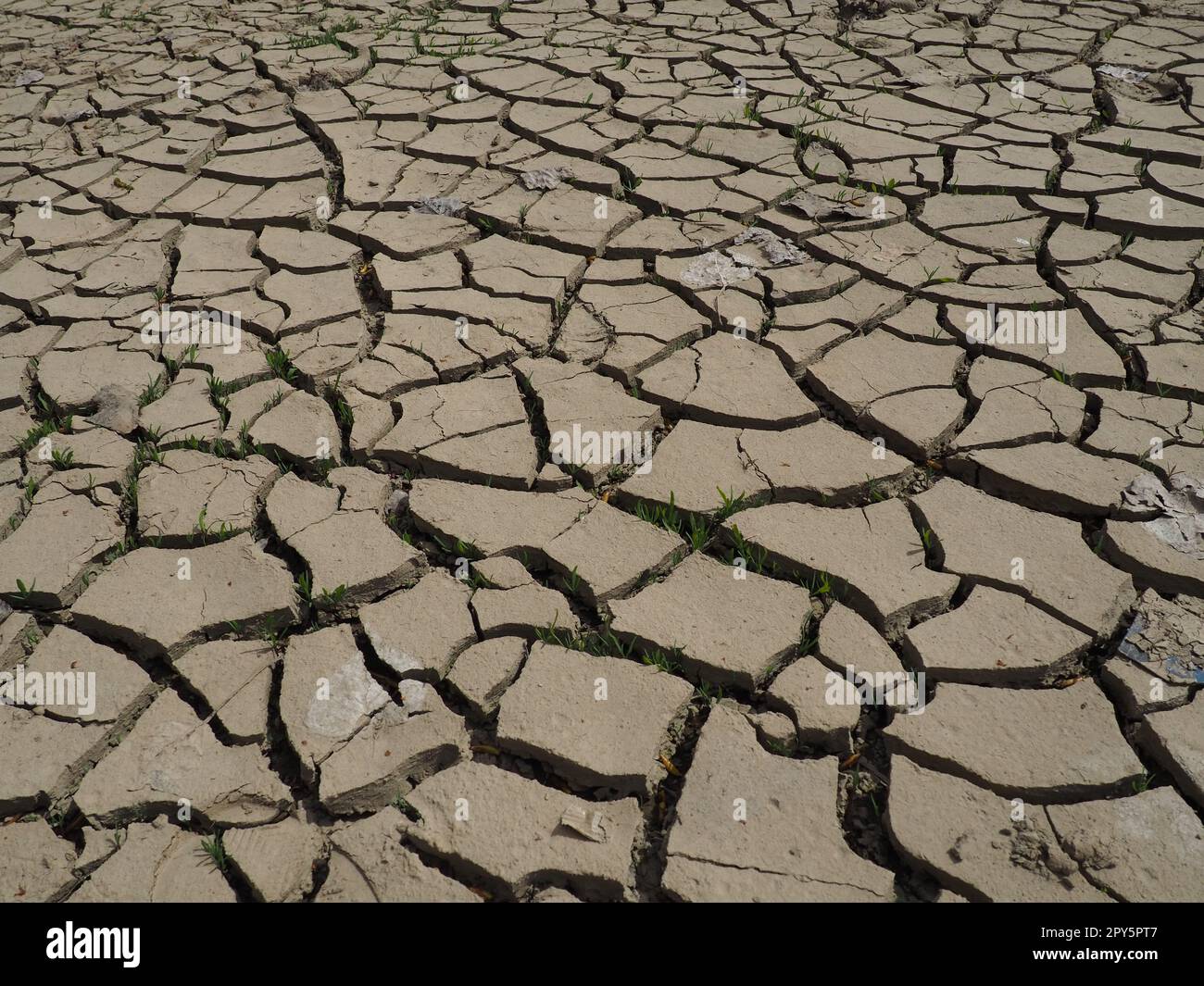 Des fissures profondes dans la terre comme symbole du climat chaud et ...