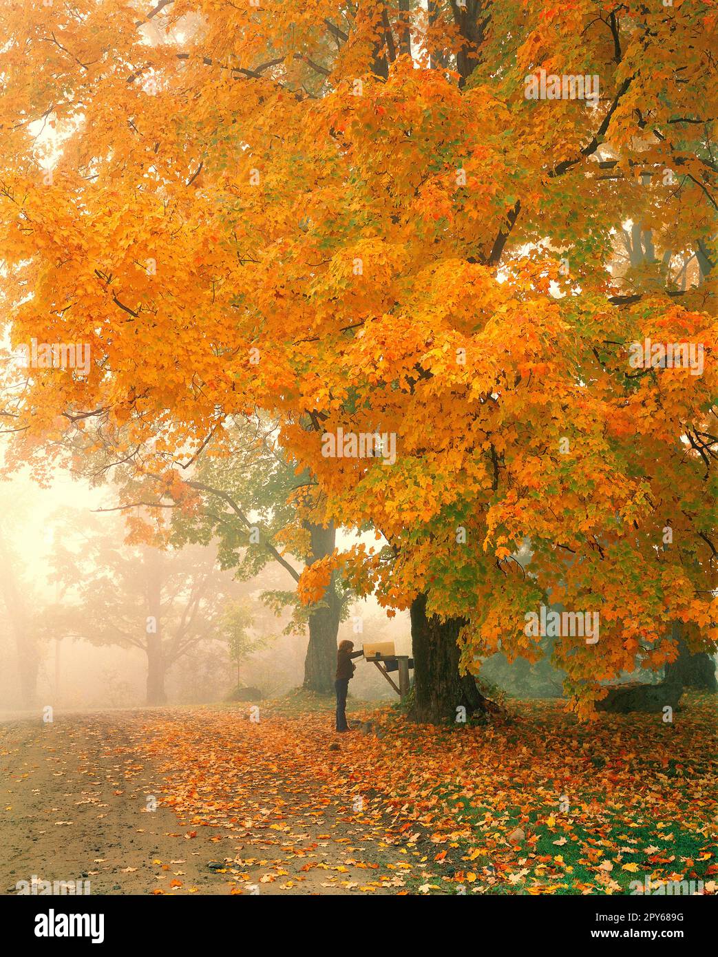 Morning mail Banque de photographies et d’images à haute résolution - Alamy