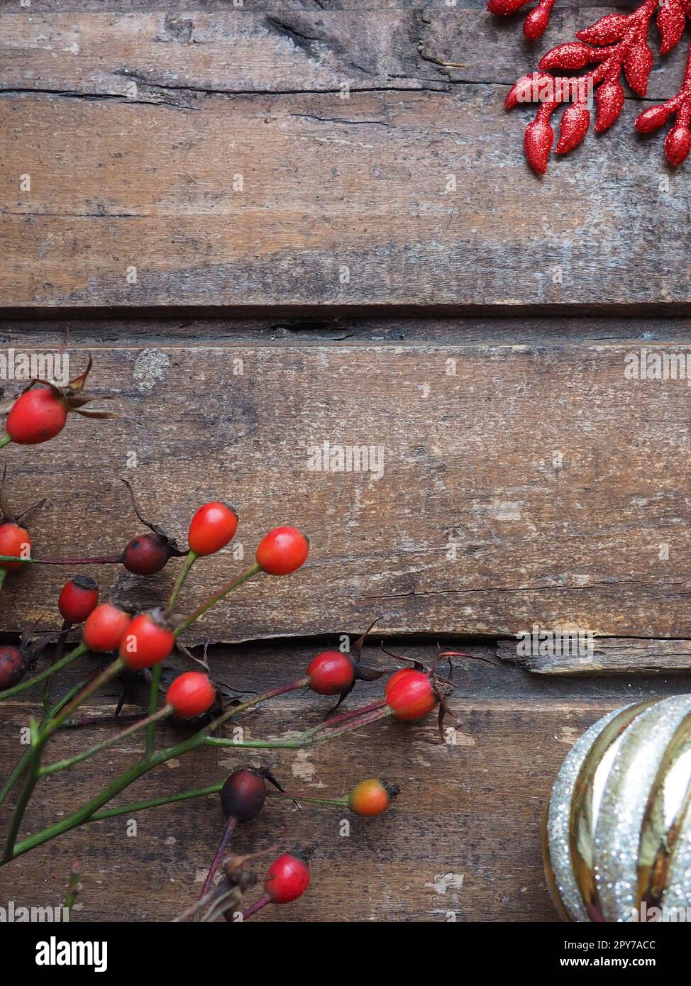 Fruits rouges sauvages Banque de photographies et d’images à haute ...