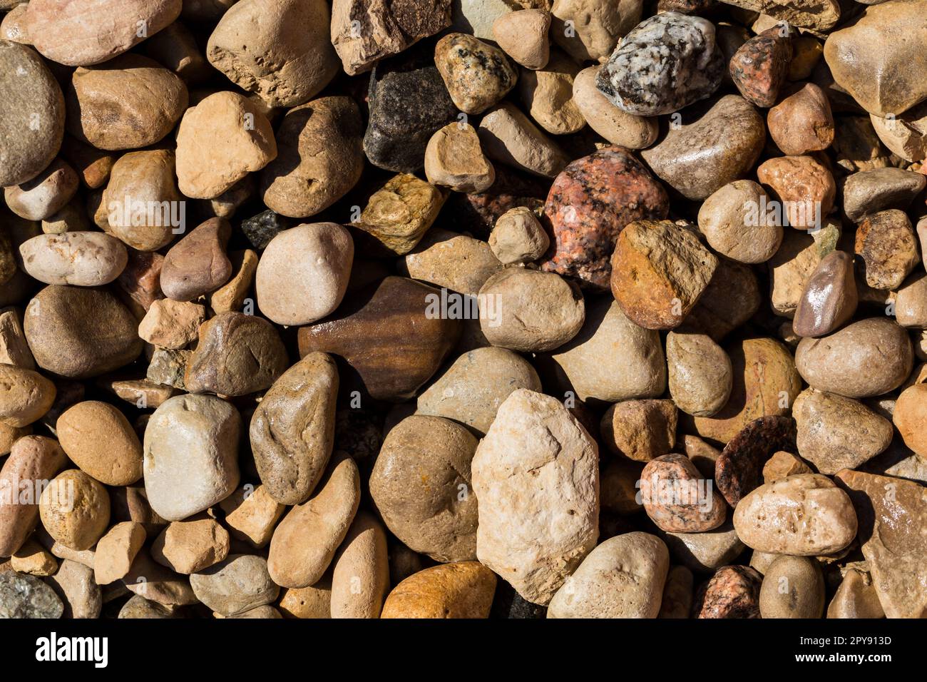 Détails de texture des galets de pierre humide ou arrière-plan des ...