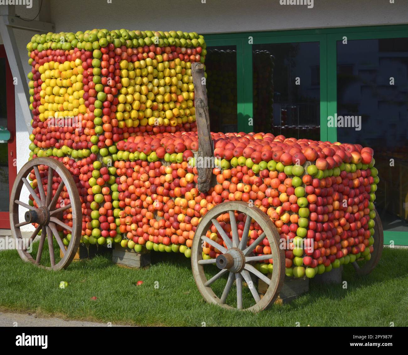 Récolte de pommes en forme de tracteur, différentes variétés de pommes ...