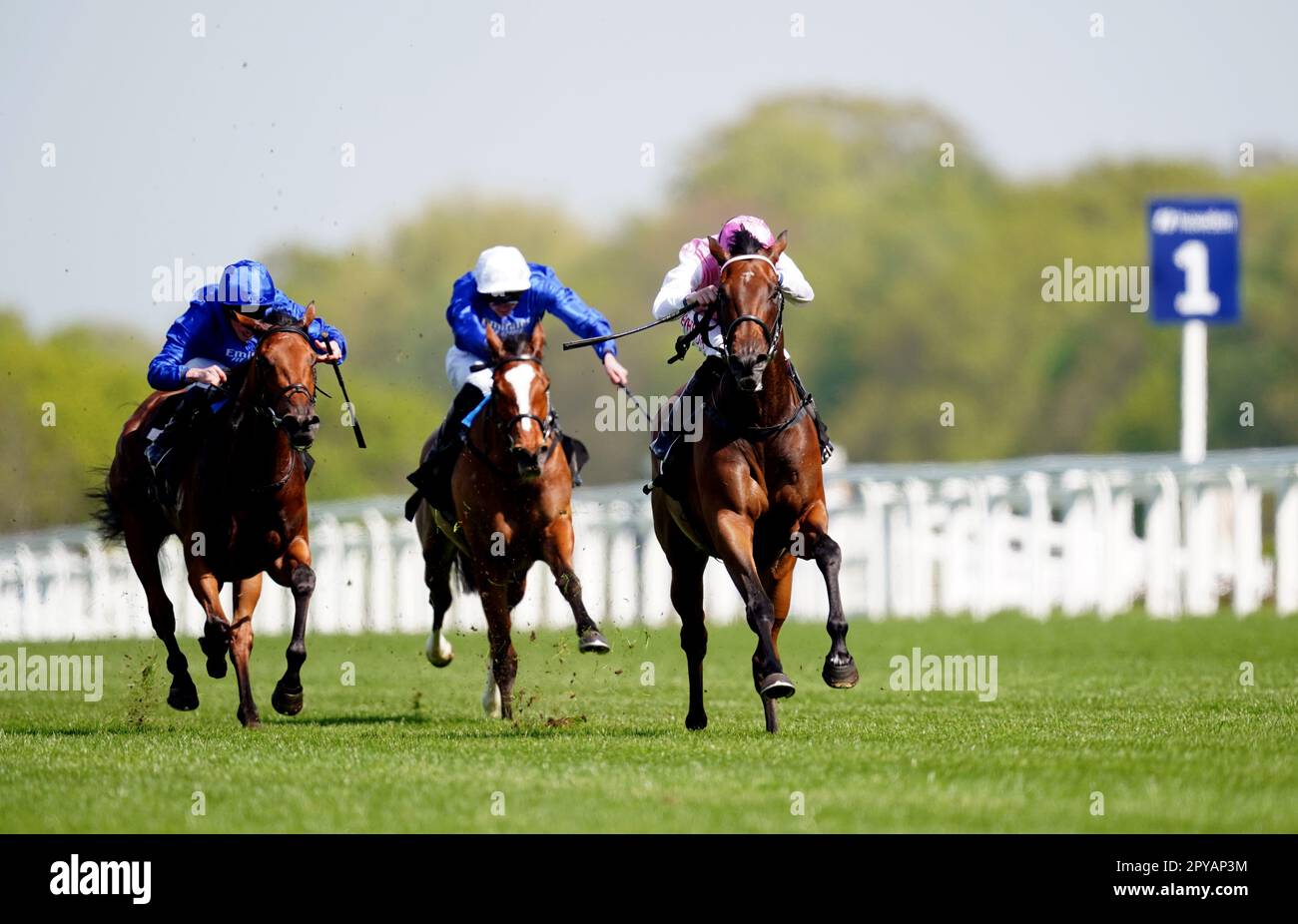 Queen for You hoped by Robert Havlin sur le chemin de gagner l ...