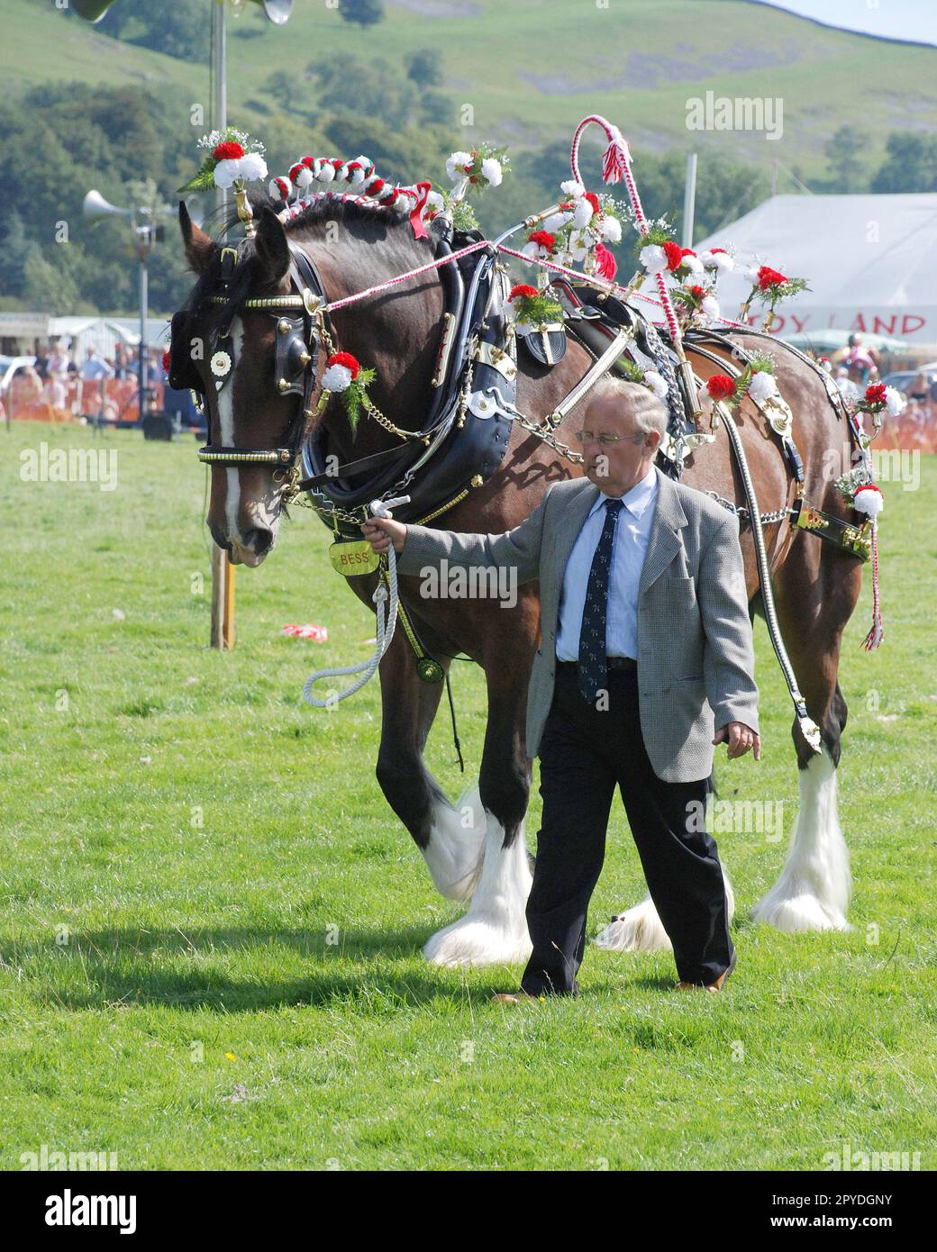 Le premier salon agricole du yorkshire dales Banque de photographies et ...