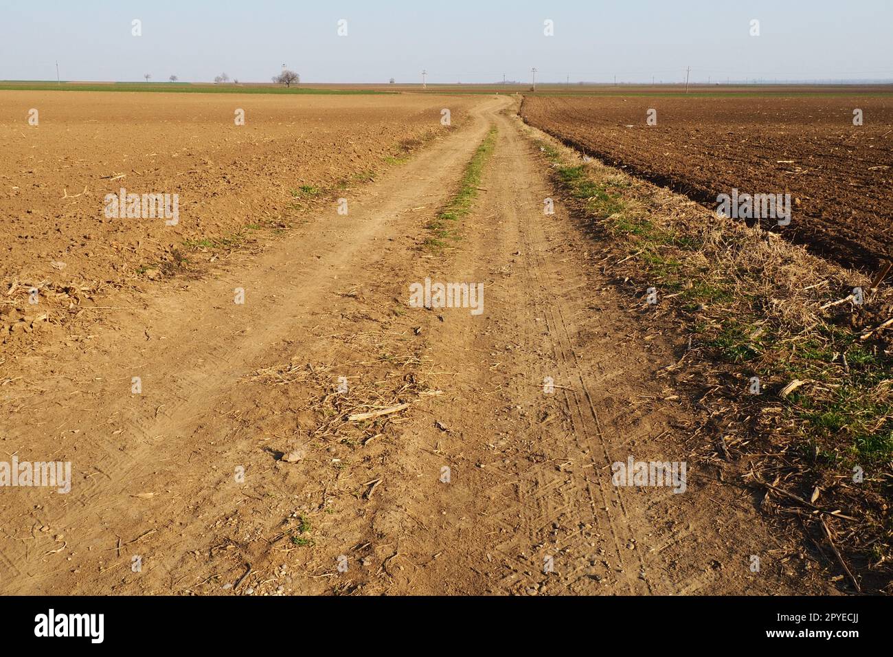 Plantation de routes Banque de photographies et d’images à haute ...