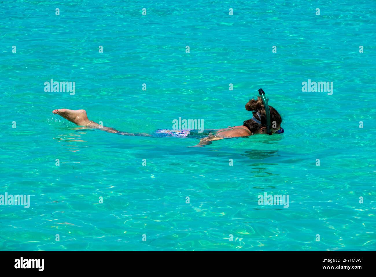 La plongée en apnée à Catalina Island ou Isla Catalina est une île ...