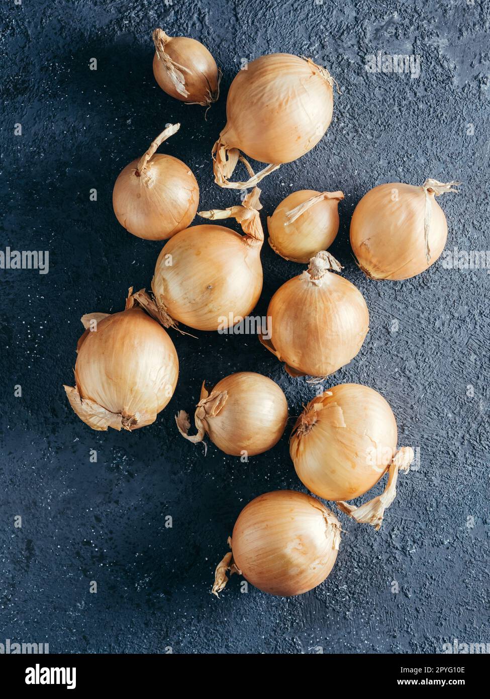 Onion plat Banque de photographies et d’images à haute résolution - Alamy