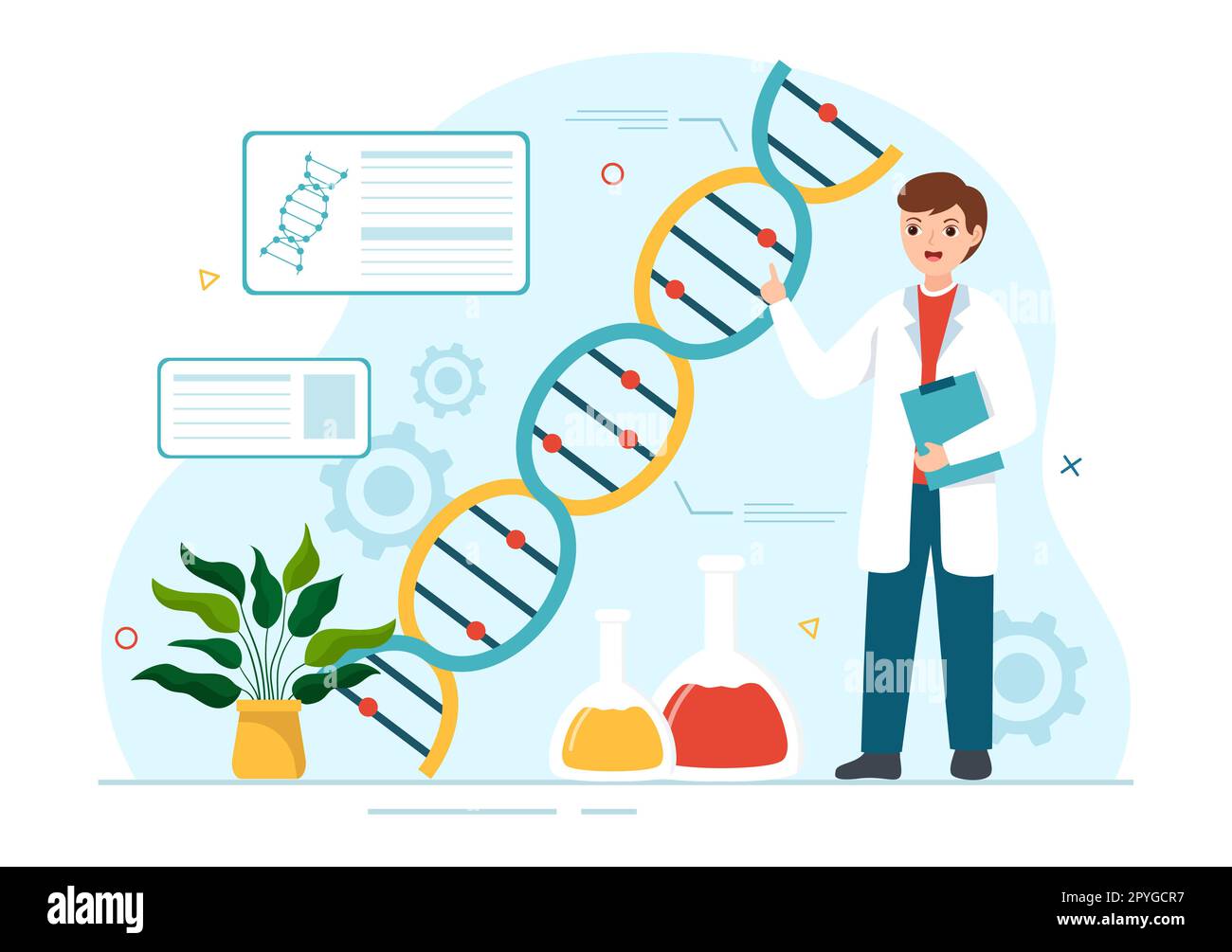 Génie génétique et modifications de l'ADN Illustration avec les ...