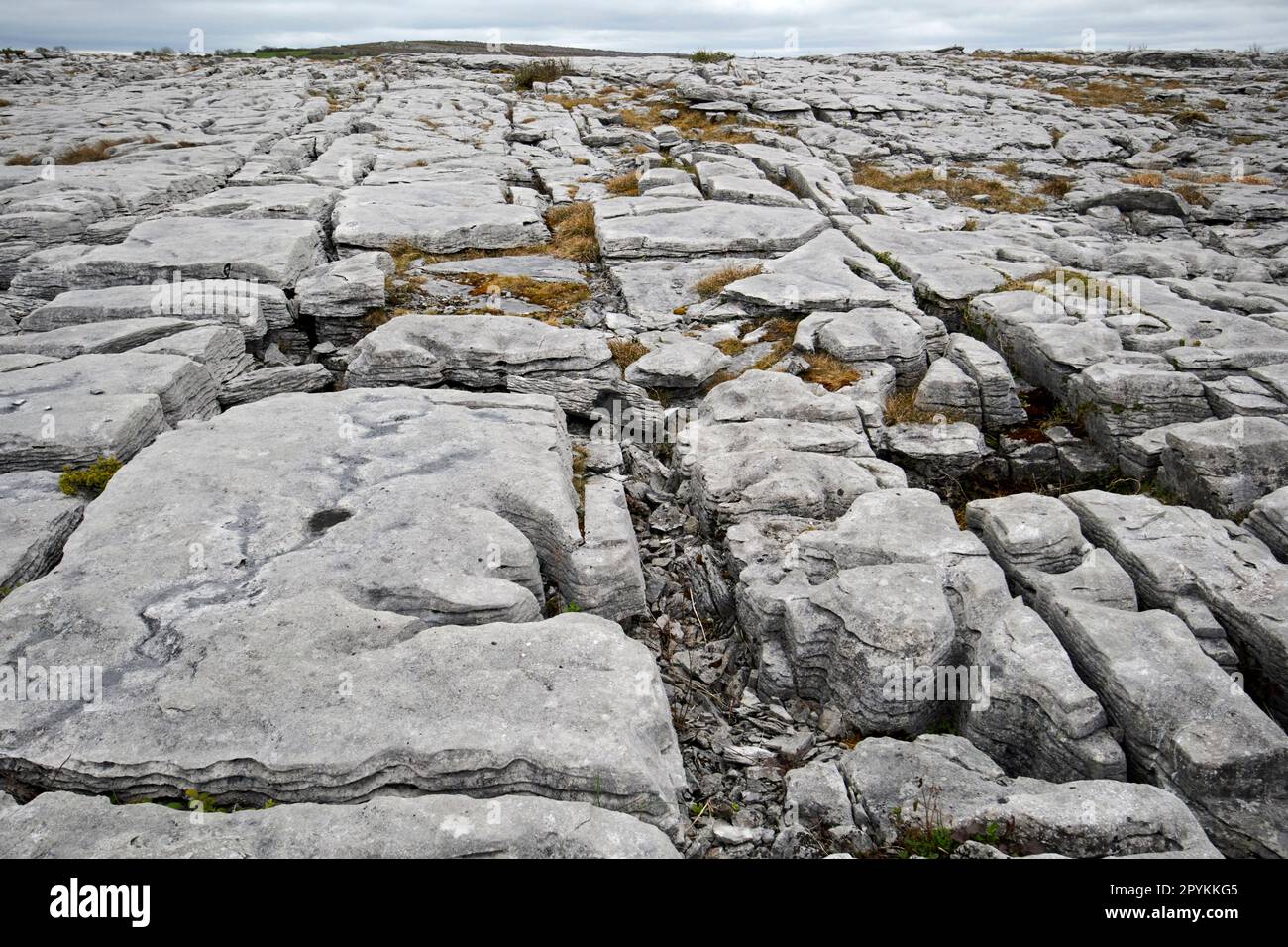des clins et des grikes avec la végétation croissant dans les fissures ...