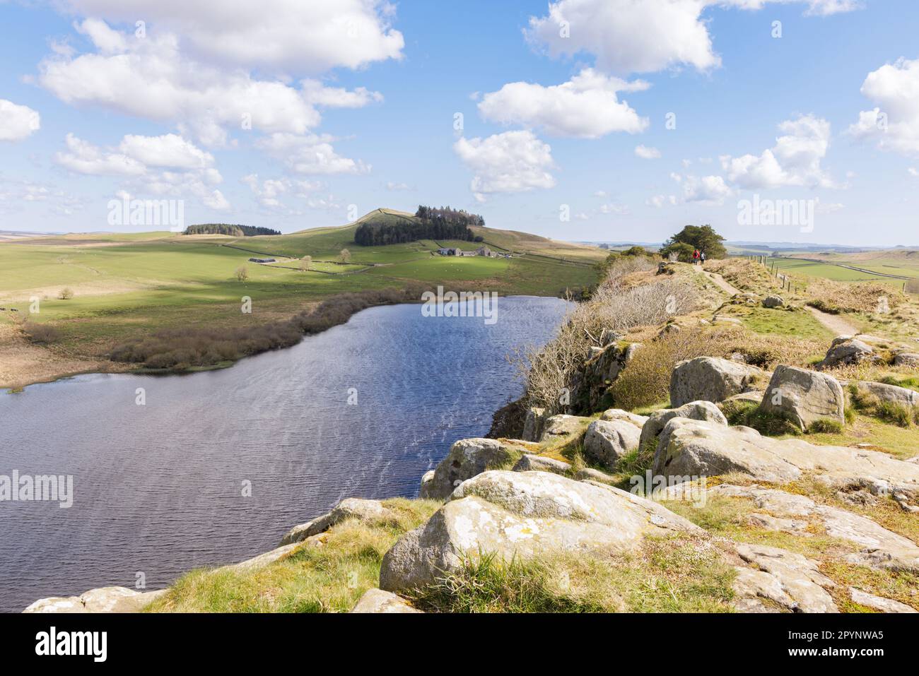 Northumberland, Royaume-Uni - avril 2023 : sur le chemin longue ...
