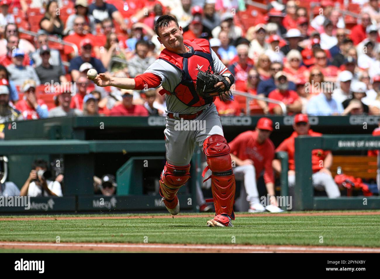 Los Angeles Angels catcher Matt Thaiss (21) throws out St. Louis ...