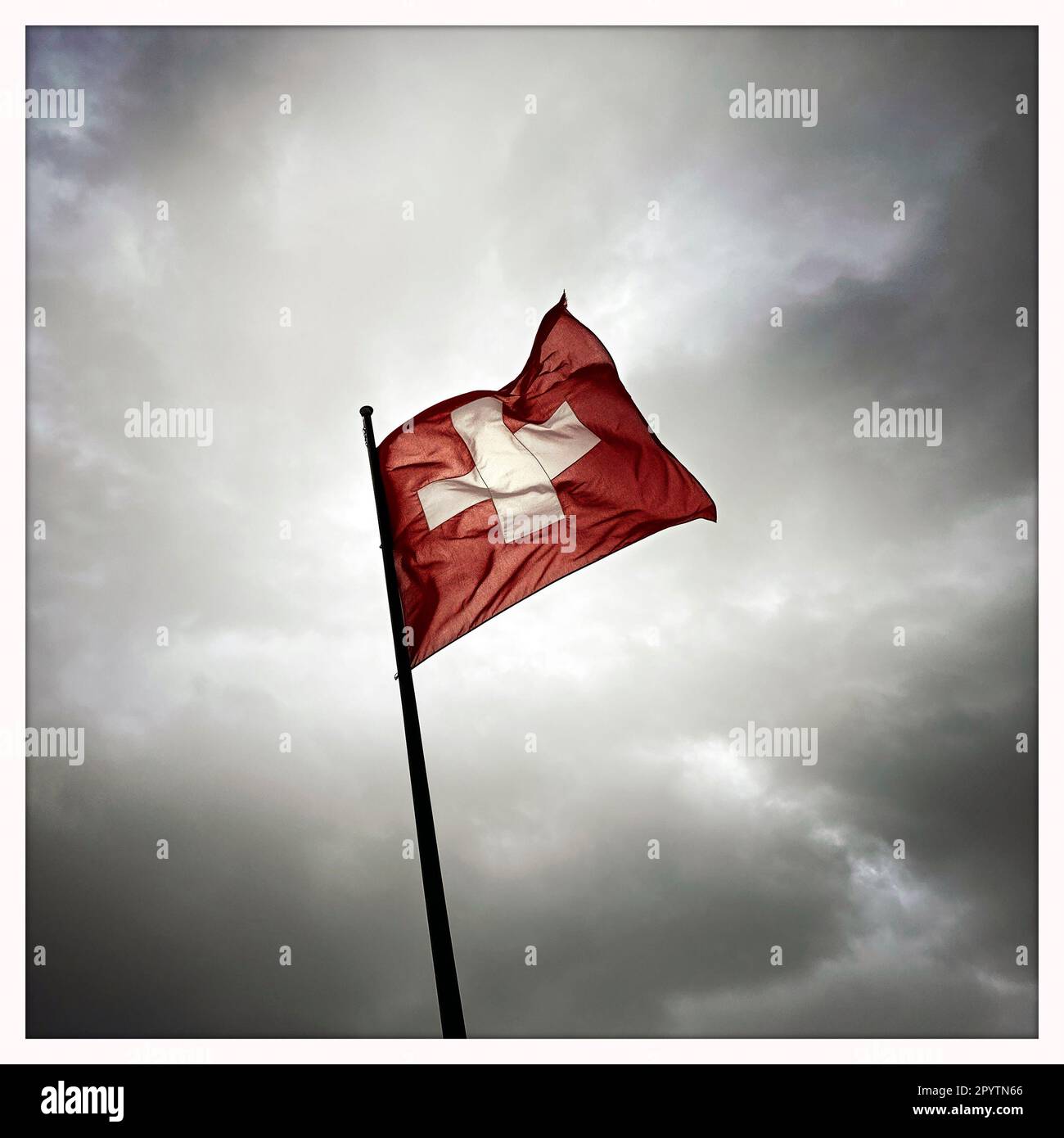 Drapeau suisse devant les alpes suisses Banque de photographies et d ...