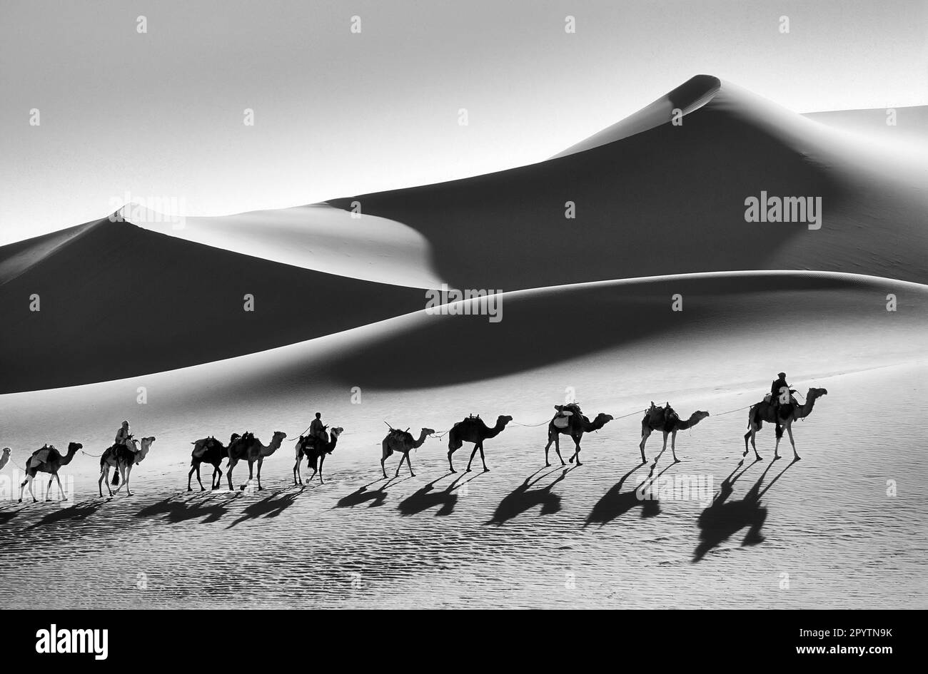 Algérie, près de Djanet. Désert du Sahara. Hommes de la tribu Tuareg ...