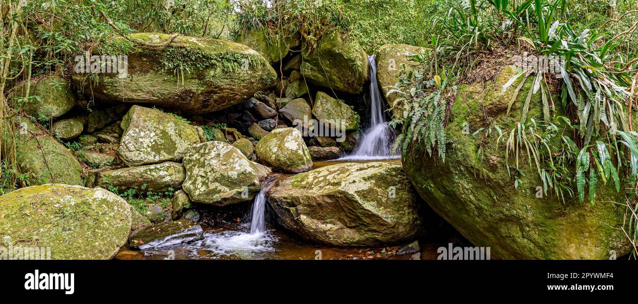 Petite cascade panoramique parmi la végétation de la forêt tropicale de ...