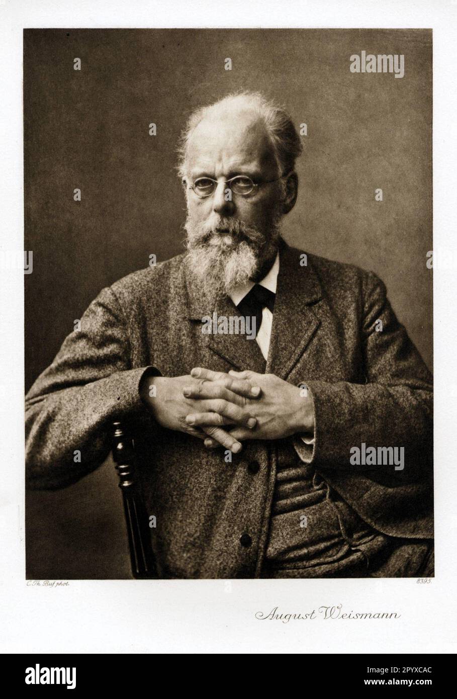 August weismann Banque de photographies et d’images à haute résolution ...