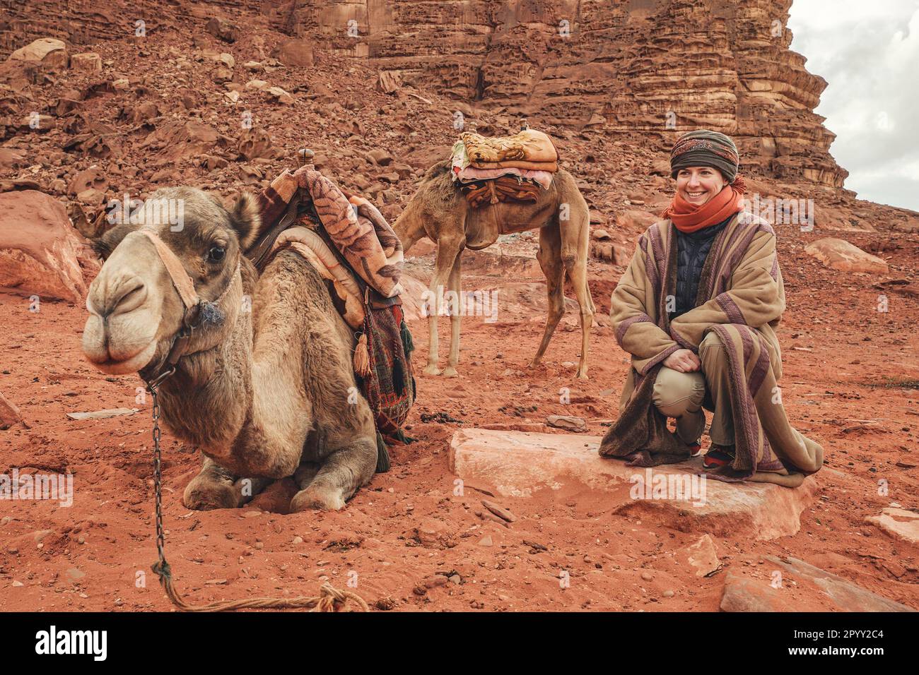 Dromadaire accroupi Banque de photographies et d’images à haute ...