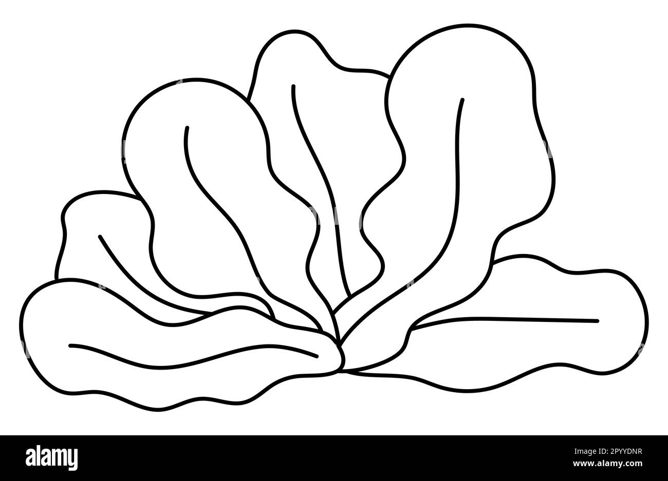 Cartoon under water coloring book Banque d'images noir et blanc - Page ...