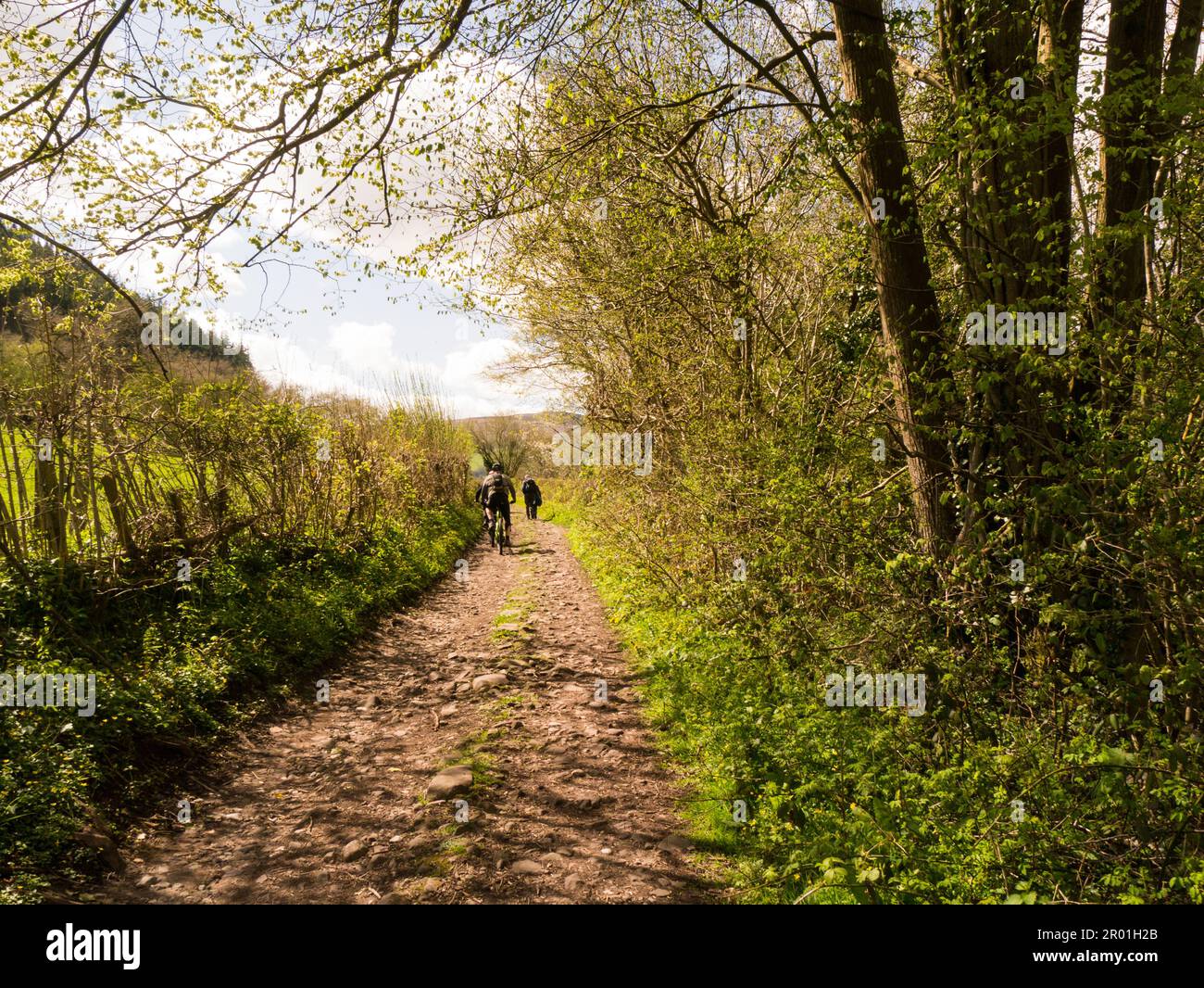 Sentier populaire de taff et promenade de vaughan Banque de ...