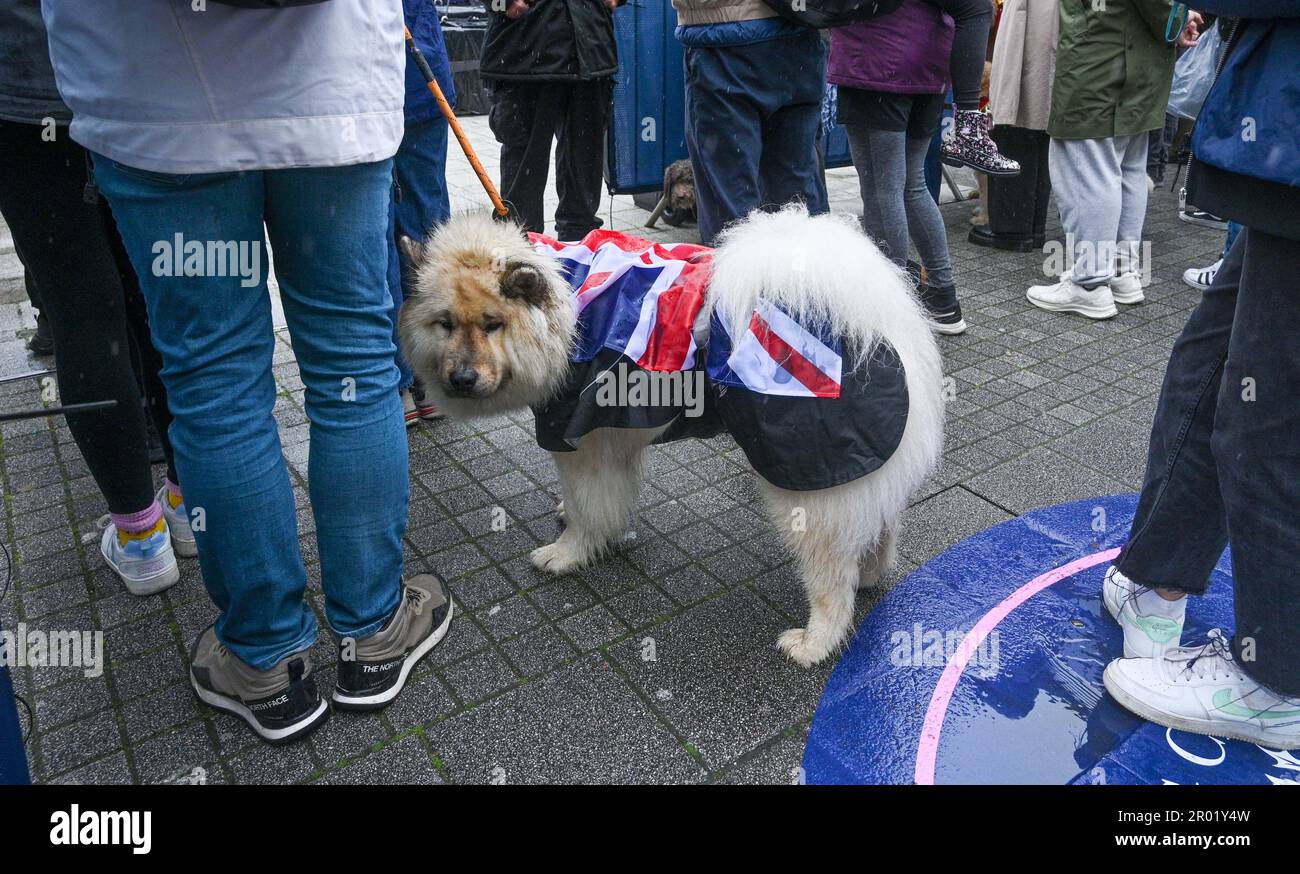 Chiens de couronnement Banque de photographies et d’images à haute ...