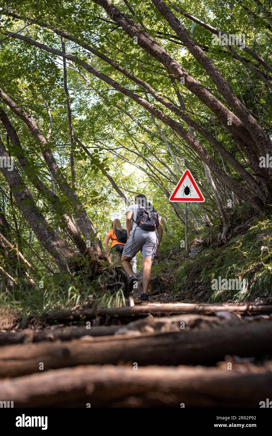 Homme et femme en randonnée dans la forêt de tiques infectées avec un ...