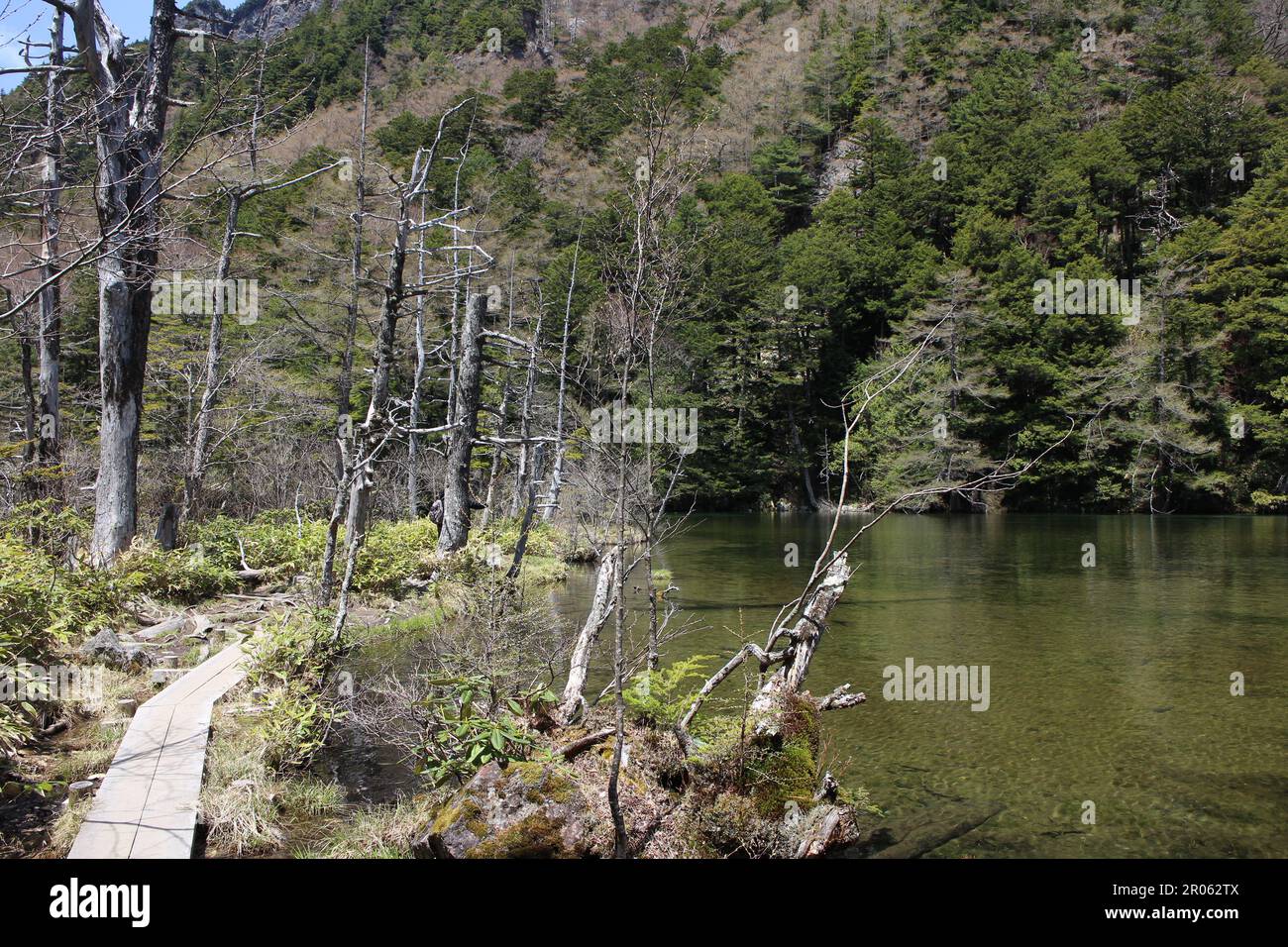 étang myojin ike Banque de photographies et d’images à haute résolution ...