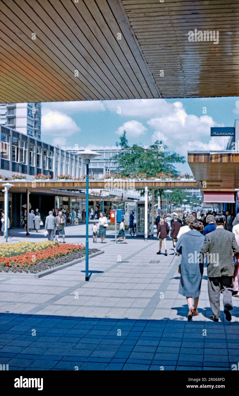 Shoppers au soleil à la (de) Lijnbaan, Rotterdam, pays-Bas c.1960. Le ...
