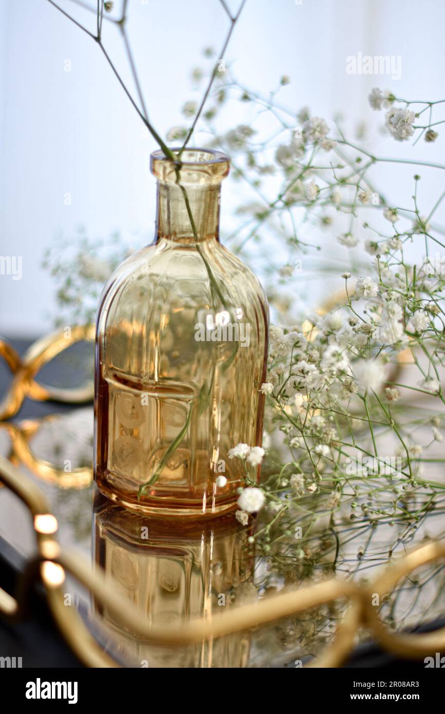 Le souffle de bébé est connu pour ses petites fleurs délicates qui ...