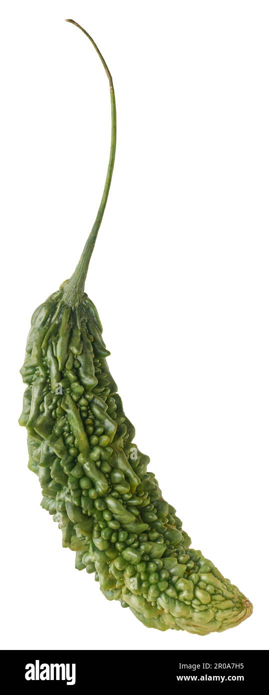 gros plan de gourde amère ou de melon amer, momordica charantia, légume ...