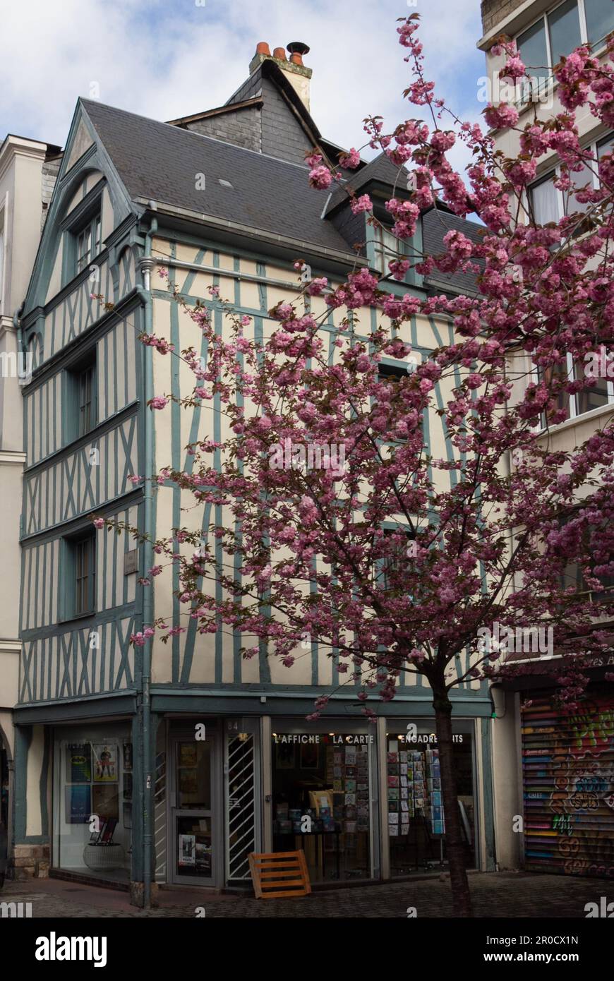 Rouen, France : la fleur de cerisier rose printanière illumine une ...