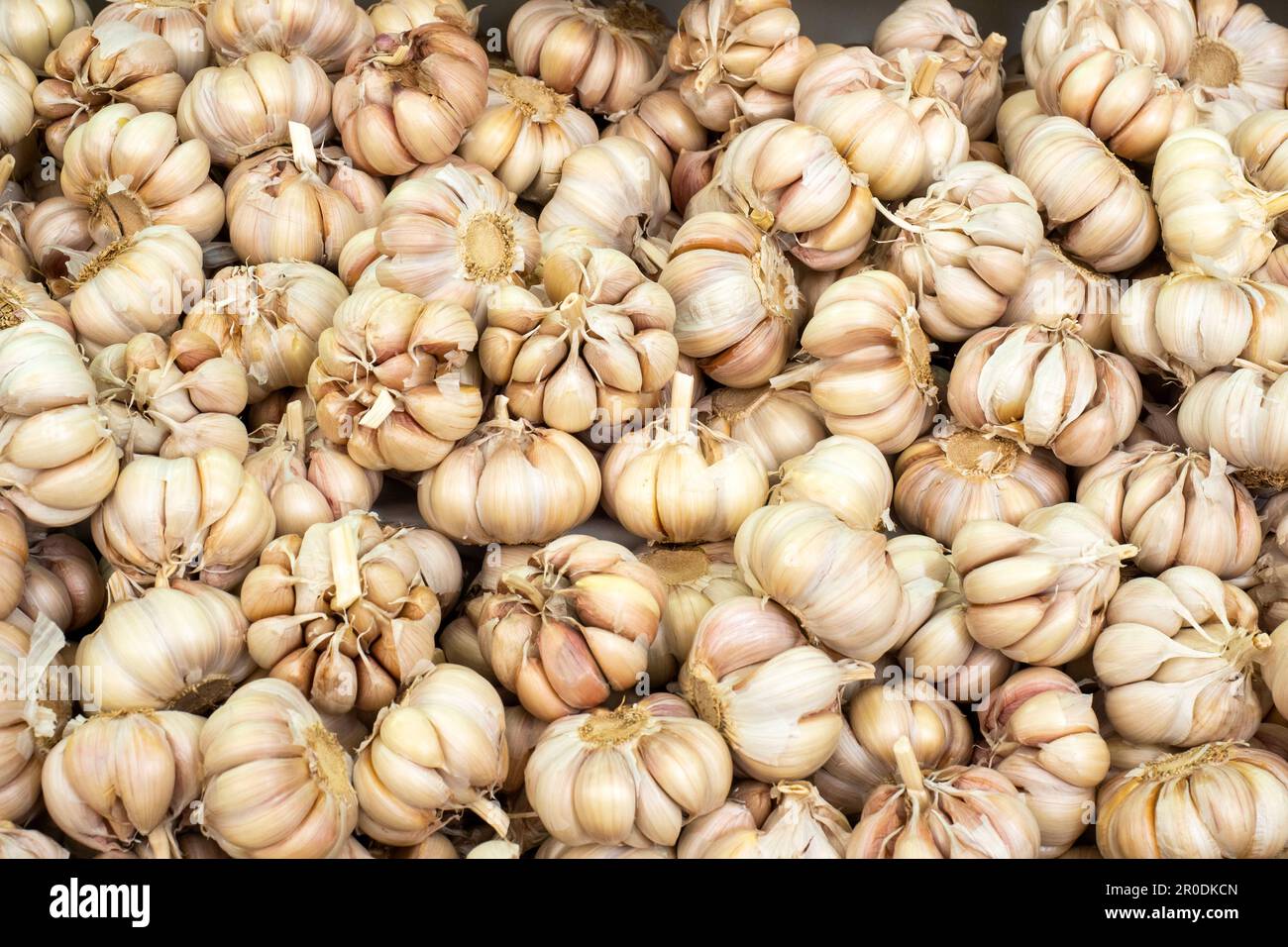Bulbes à l'ail, le Mercado dos Lavradores est un marché aux fruits, aux ...