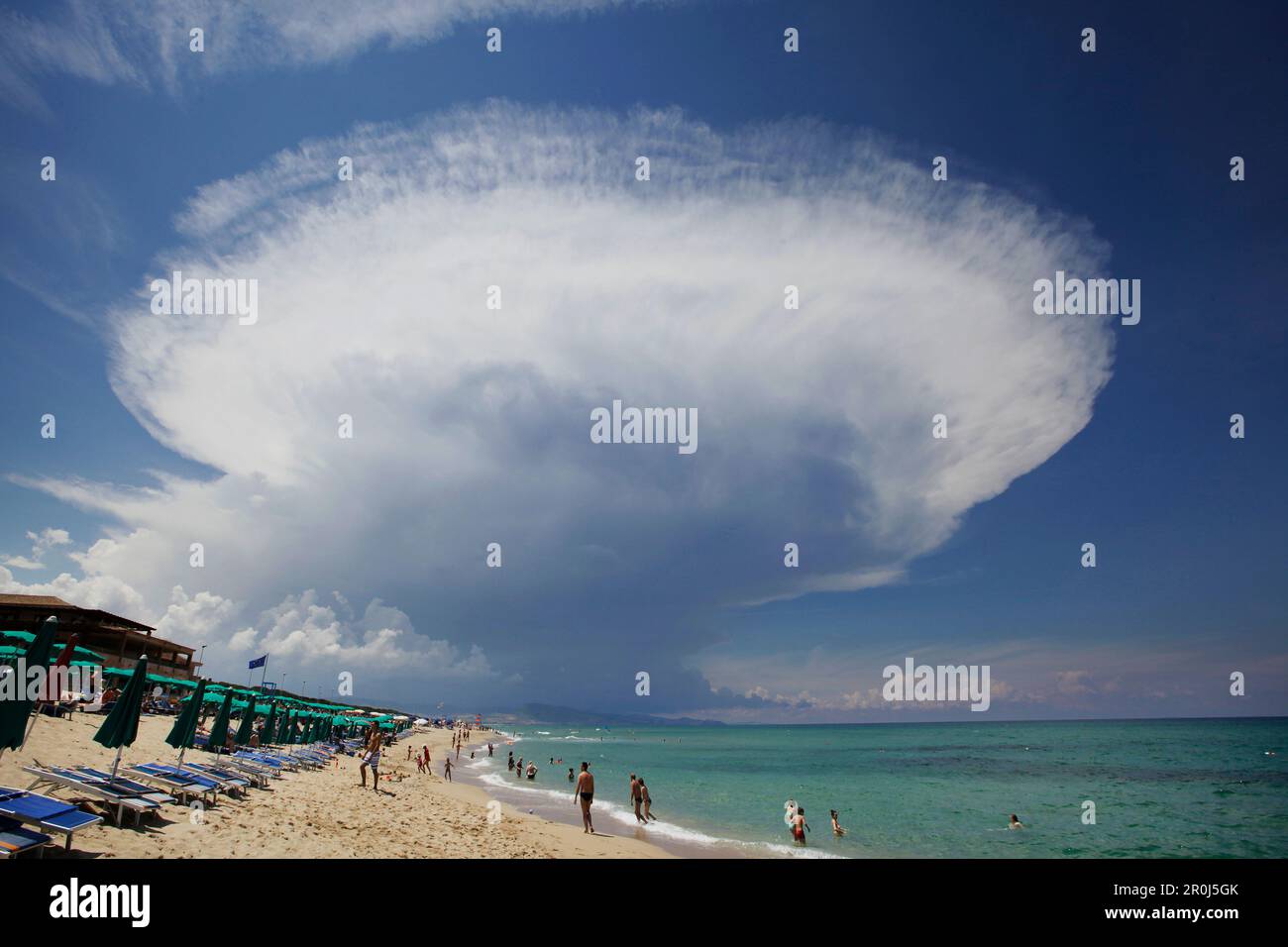 Li junchi Banque de photographies et d’images à haute résolution - Alamy